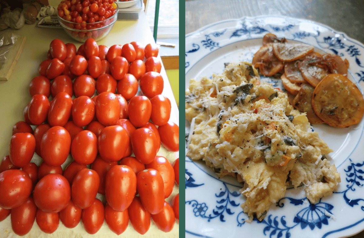 The Garden Horde: Here’s How to Deal with That Season Surplus of ...